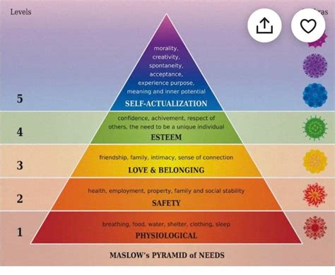 Maslow Hierarchy Of Needs Sex Is Not A Basic Human Need R Asexual