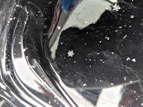 The Snowflake Generation Rewriting The Rules