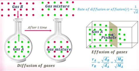Lab Grahams Law Of Diffusion Datasheet Answer Key