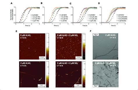 Aminosterols Accelerate Aβ 42 Aggregation In Vitro Kinetic Profiles