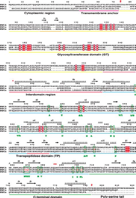 Sequence Alignment Of Class A Pbps From S Pneumoniae Strain R6 The