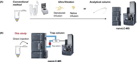 Schematic Diagram Of The Conventional Sample Preparation Method Using Download Scientific