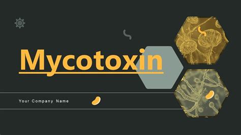 Mycotoxin Powerpoint Template Bundles Ppt Slides Ppt Example