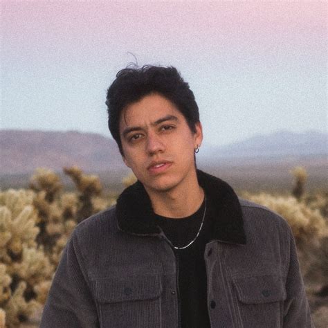 Hermanos Arvy Youtube