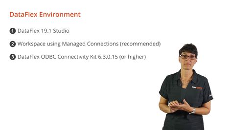Dflc Lesson Dataflex Environment