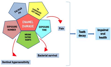 What Are The Effects Of Carbonated Drinks On The Erosion Of Tooth Enamel At Natosha Guerro Blog