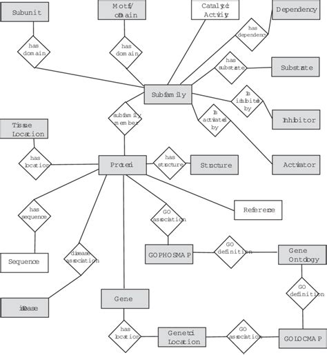 Entity Relationship Diagram To Relational Schema Free Images