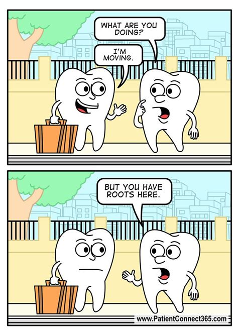 Humor Sobre Higiene Dental 5 Dental Jokes To Get You Through The