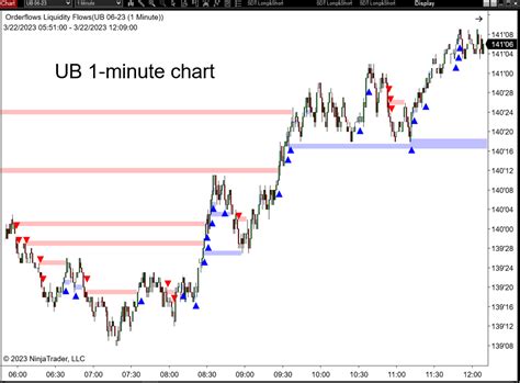 Liquidity Flows Indicator For Nt8