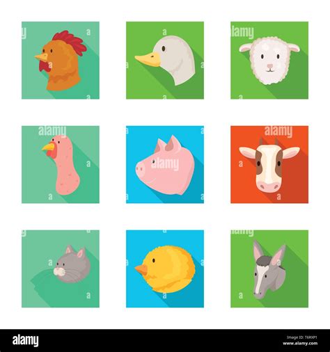 Sheepcowdonkeyturkeyhencatrabbitgoosefacebirdhappydairy