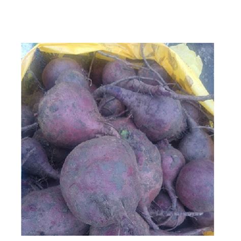 Beetroot ቀይስር