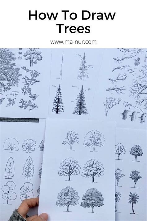 Complete Trees Drawing Course Fundamentals Step By Step Videos Of Process Downloadable