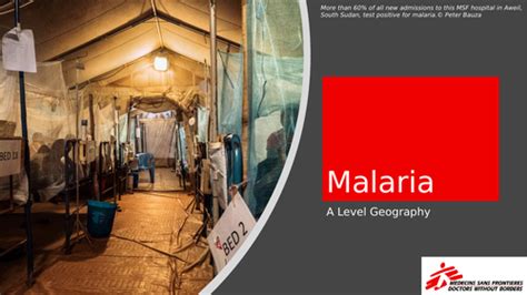 Malaria Geography A Level Msf Teaching Resources