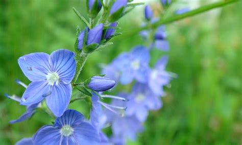 Web Lf 8 Loschie Ferienwohnen