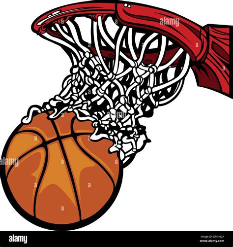 Excellent Basketball Hoop Vector Images