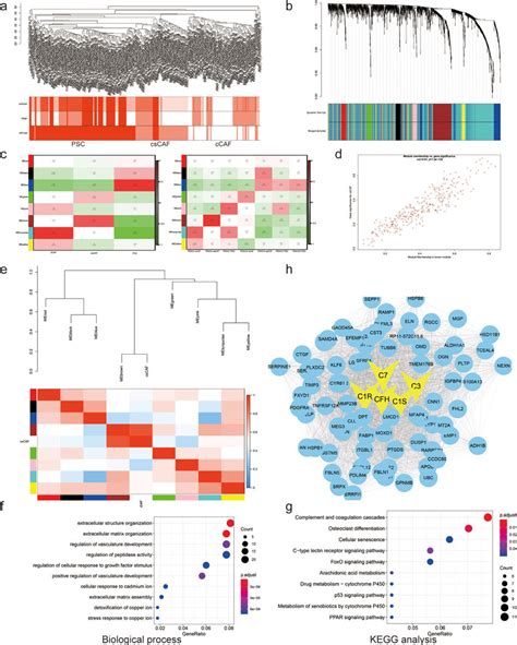 Gene Network Module Of Cscaf Were Identified By Wgcna A Clustering