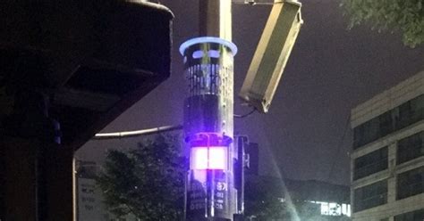 영등포구 관내 全공원 친환경 살충기