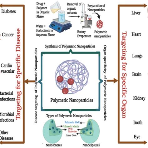 Synthesis And Targetability Of Polymeric Nanoparticles The Figure 1 Download Scientific