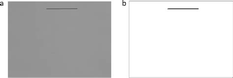 Image Thresholding A Gray Scale B Segmented Image Download Scientific Diagram