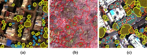 Three Situations Where Tree Crowns Were Not Correctly Delineated A