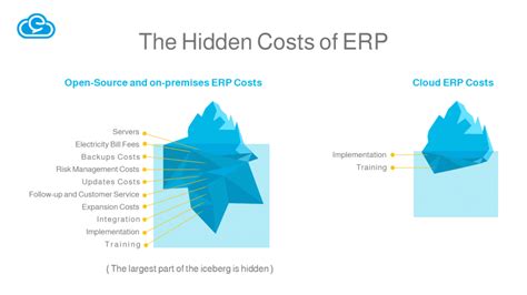 Unmasking The Unseen Navigating The Hidden Costs Of Erp Systems Edara Blog