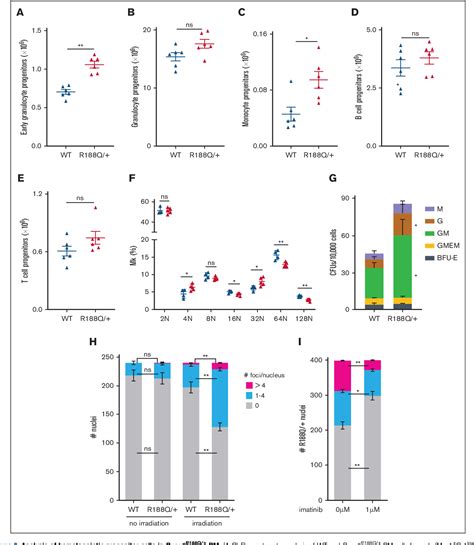 Figure 3 From Runx1 R188q Germ Line Mutation Induces Inflammation And Predisposition To