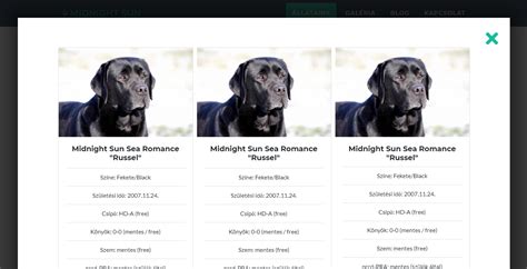 Html Bootstrap Cards Inline Block Stack Overflow