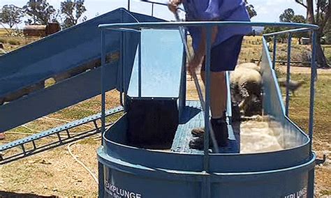 Sheep Handling Products And Equipment Peak Hill Industries