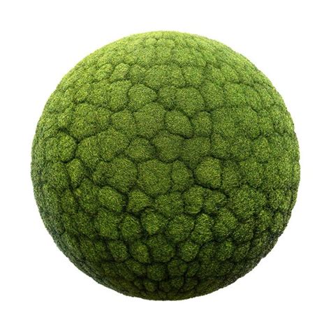 Grass Pbr Texture