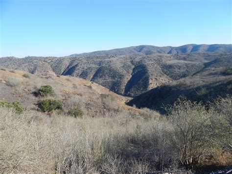 Carbon Canyon Chronicle Another Short Jaunt Through Chino Hills State Park