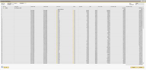 Leverage The Inventory Audit Report In Sap Business One Vision33