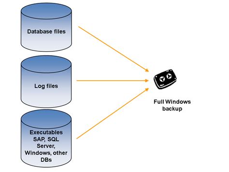 How Many Types Of Data Backup At Susan Cochrane Blog