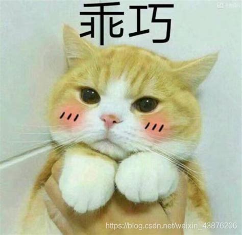 Python爬虫——爬虫是什么都可以爬的吗？robots协议！ Csdn博客