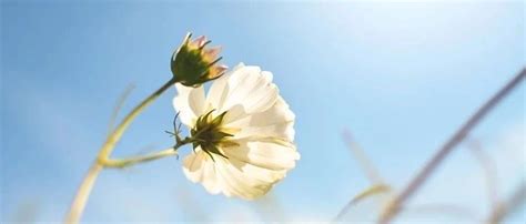 Fluent验证案例 析模界