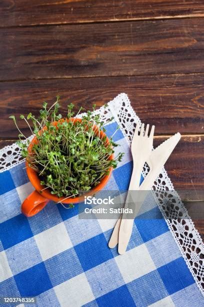 오렌지 컵에 미니 그린의 새싹과 대나무 생분해성 포크와 천연 에코 재활용 재사용 재료로 만든 칼 가루로 빻은에 대한 스톡 사진 및 기타 이미지 Istock
