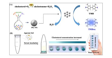 New Purchase Of Main Material Float Switch Vitamin C Rapid Test Paper Kit Colorimetric Tube