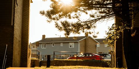 Hls Downloader · Github Topics · Github