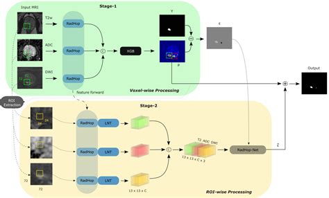 논문 리뷰 Radhop Net A Lightweight Radiomics To Error Regression For
