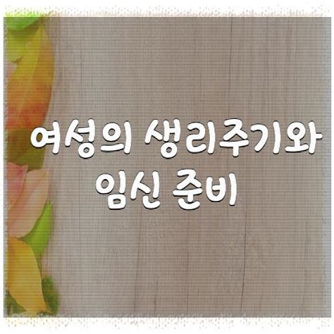 여성생리주기와 임신준비