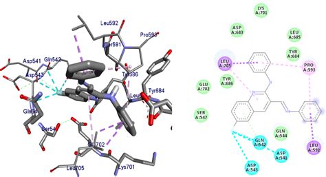 The Binding Interactions Compound 10 Against Human Topoisomerase Iiα Download Scientific Diagram