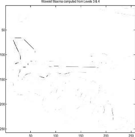 Global Wavelet Maxima Download Scientific Diagram