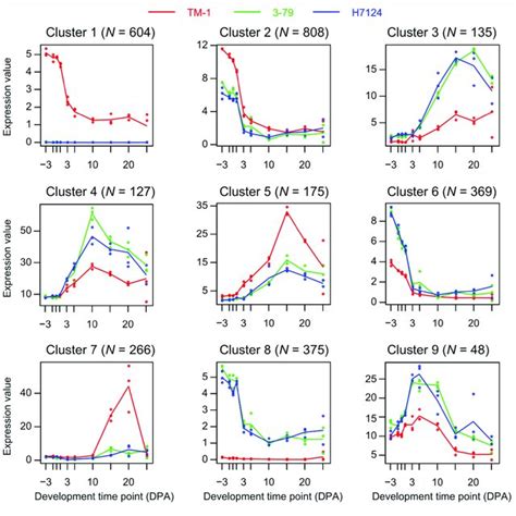 Different Gene Expression Patterns Based On The Time Course Analysis