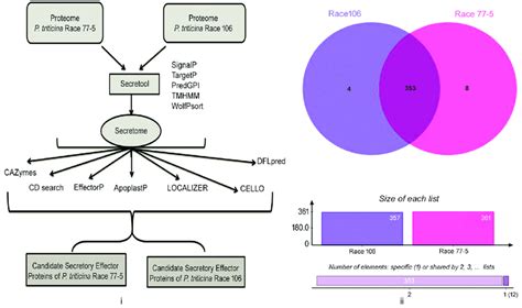 Secretome And Orthologs Analysis I A Pipeline Used In Genome Wide