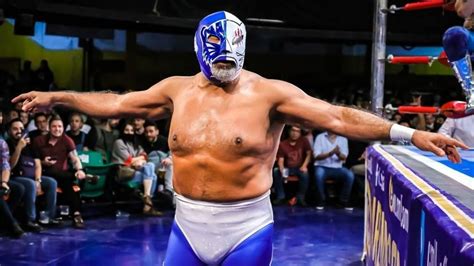 Blue Panther Luchador