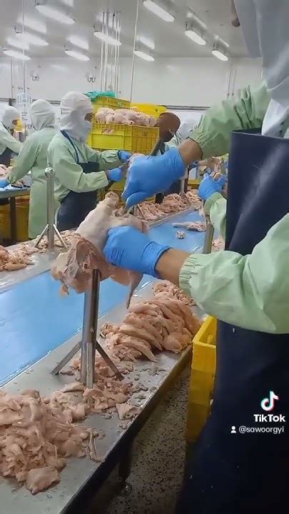 အရမ်းပင်ပန်းတေ ရိုးသားကြိုးစားနေတဲ့ ဧရာတိုင်းသားလေးပ့ Youtube