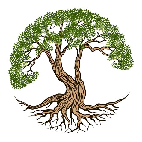 Premium Vector Oak Tree Root Logo Design Tree With Circle Shape For