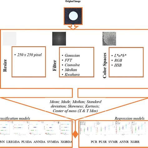 description of the feature extraction classification and regression