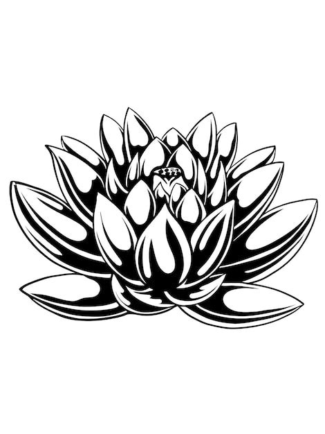 Premium Vector Vector Flower And Twig Design