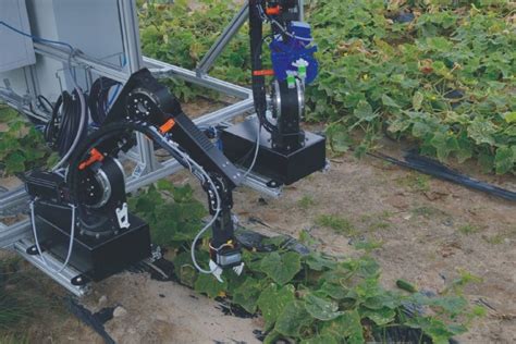 Pickle Picking Robot Will Assist Farmers With Cucumber Harvests Digital Trends