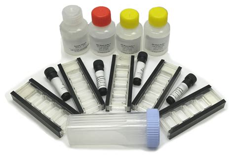 Glycan Array 300 Chemily Glycoscience